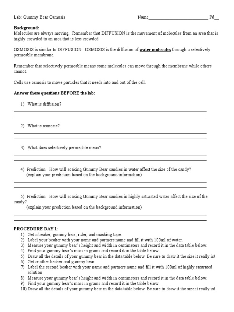 Gummy Bear Lab 2 | PDF | Osmosis | Chemistry