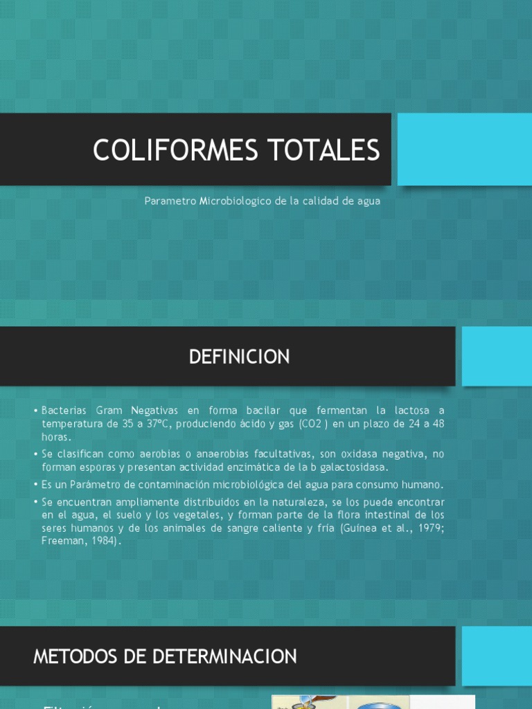 Coliformes Totales | PDF | Microbiología | Biología
