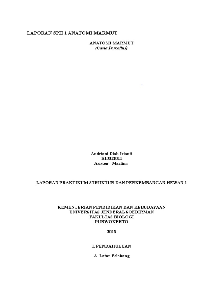Laporan SPH 1 Anatomi Marmut | PDF
