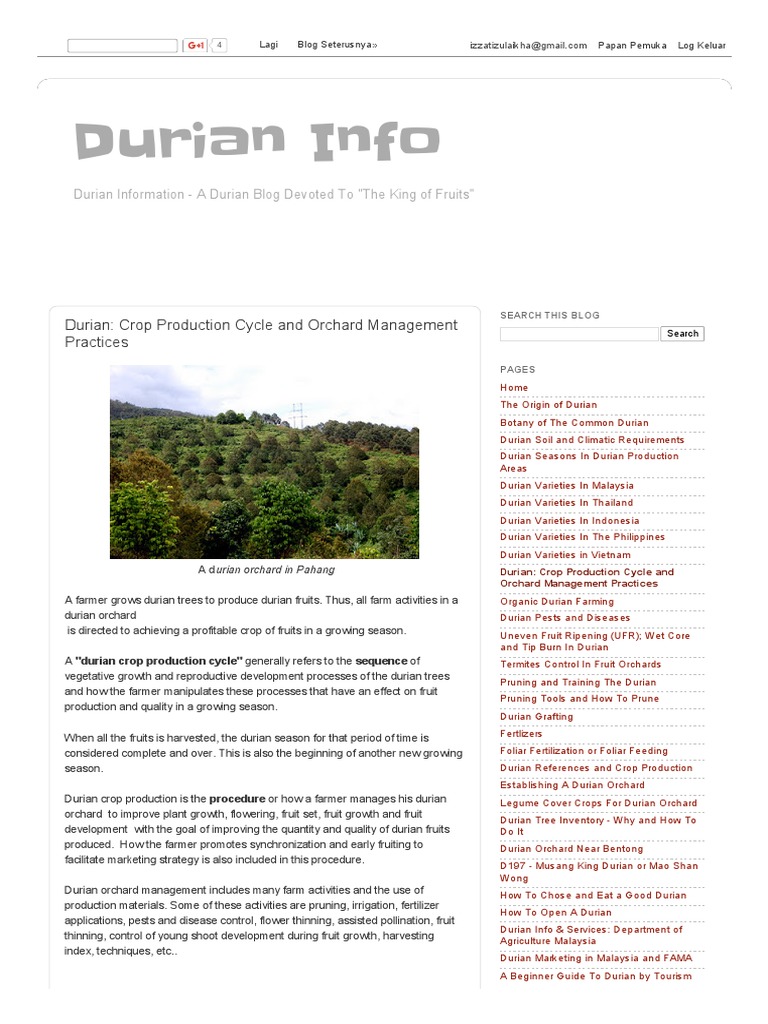 Durian Info - Durian - Crop Production Cycle and Orchard Management ...