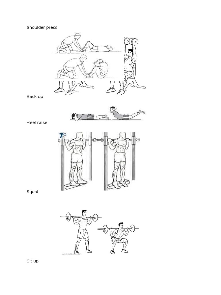 Konfis Qisty | PDF | Wellness