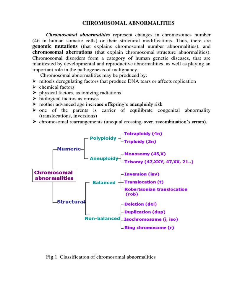 Chromosomal Abnormalities | PDF | Ploidy | Chromosome