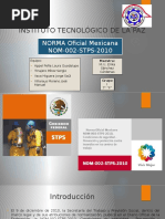 Nom-002-Stps-2010 Parte Ii | PDF | Riesgo | Evaluación