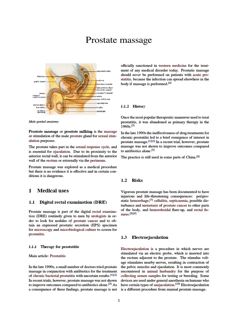 Prostate Massage | PDF | Sexology | Andrology