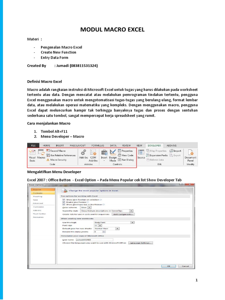 MACRO EXCEL DATA ENTRY | PDF