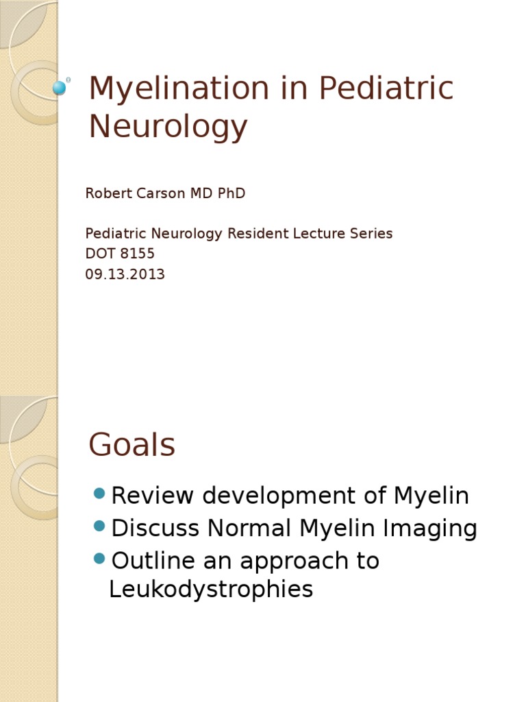 Myelination in Pediatric Neurology | PDF | Myelin | Animal Anatomy