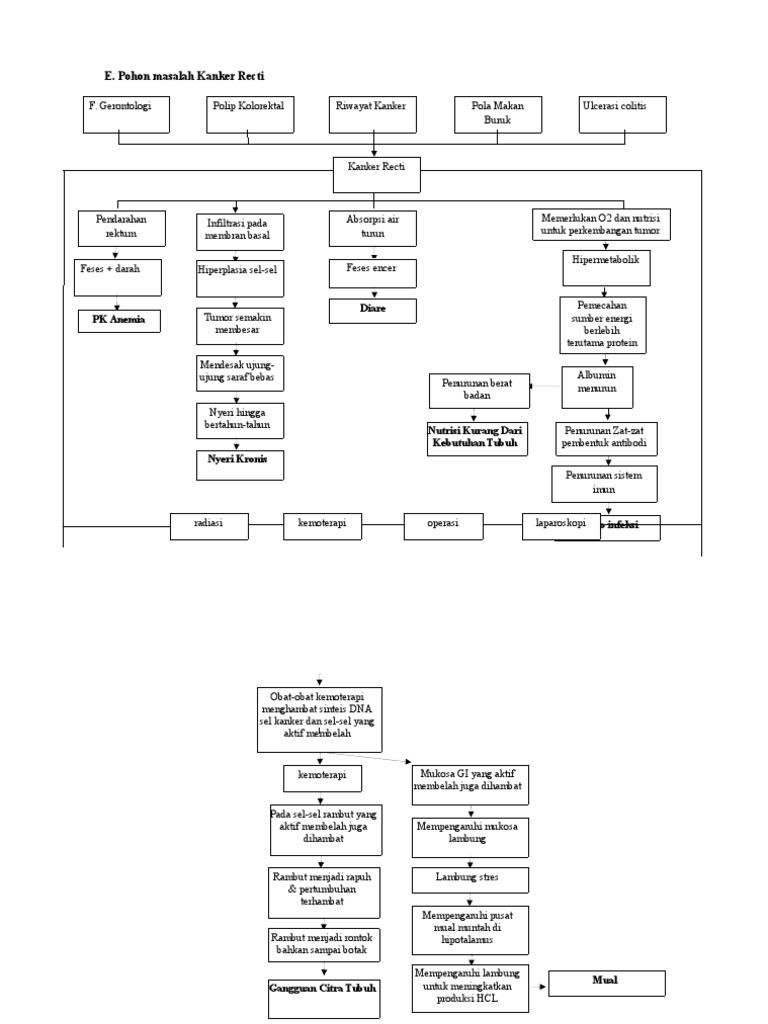 Pathway CA Recti | PDF