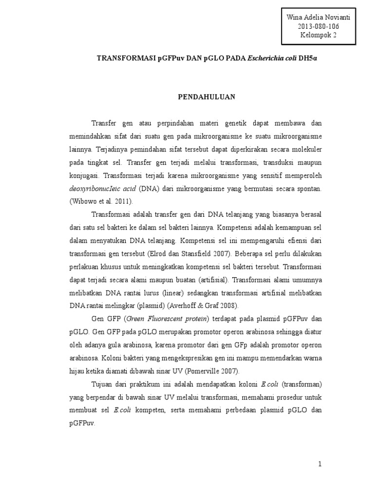 Transformasi Pgfpuv Dan Pglo Pada Escherichia Coli Dh5α | PDF