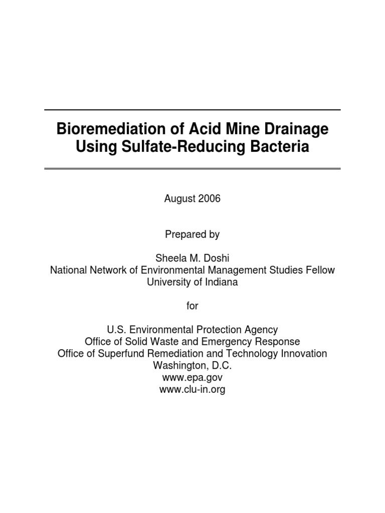 Bioremediation of Acid Mine Drainage PDF | PDF | Environmental ...