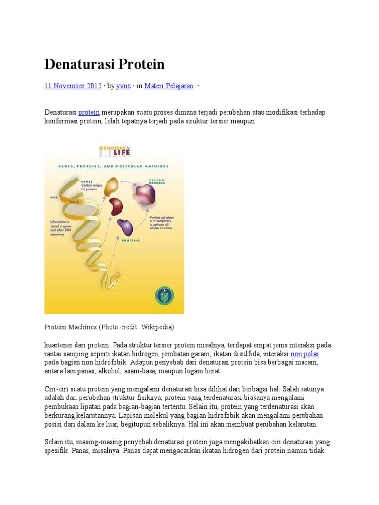 Denaturasi Protein | PDF