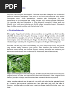 50 Contoh Tumbuhan Beserta Nama Latinnya | PDF