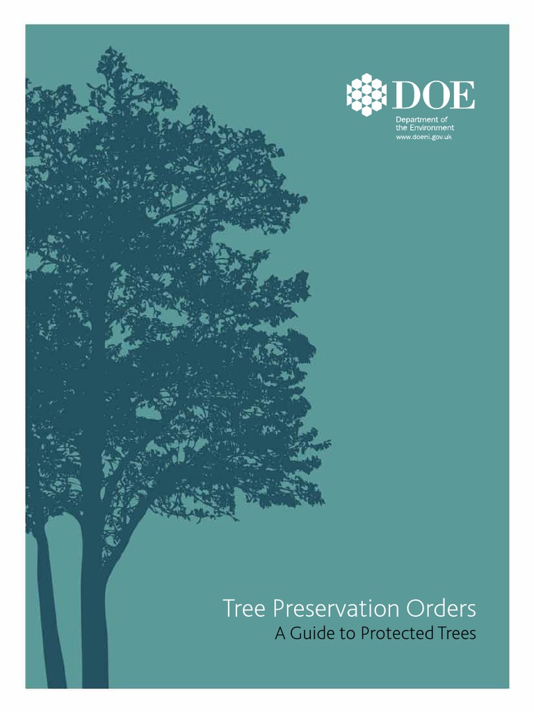 8pp Tree Preservation Order Lores | PDF | Trees | Government Information