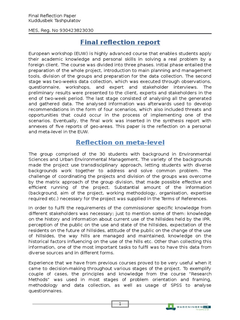 Final Reflection Report | PDF | Expert | Decision Making