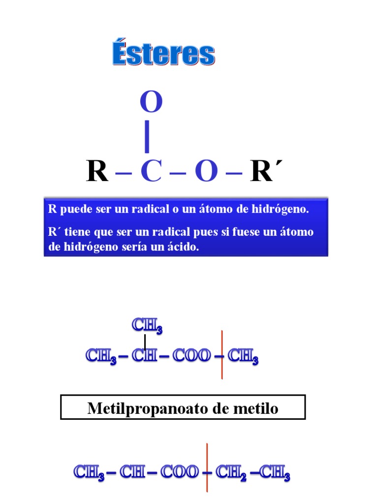 05 Esteres | PDF | Ester | Hidrólisis