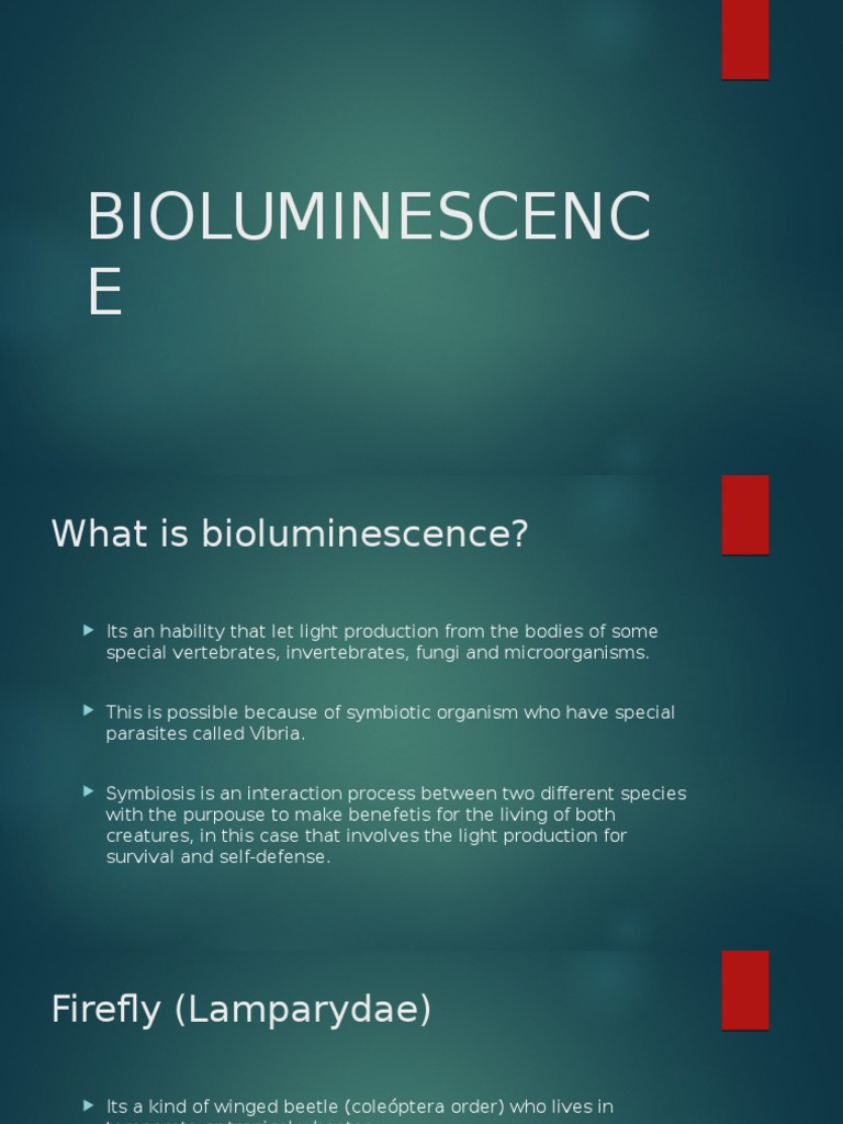 Bioluminescence | PDF
