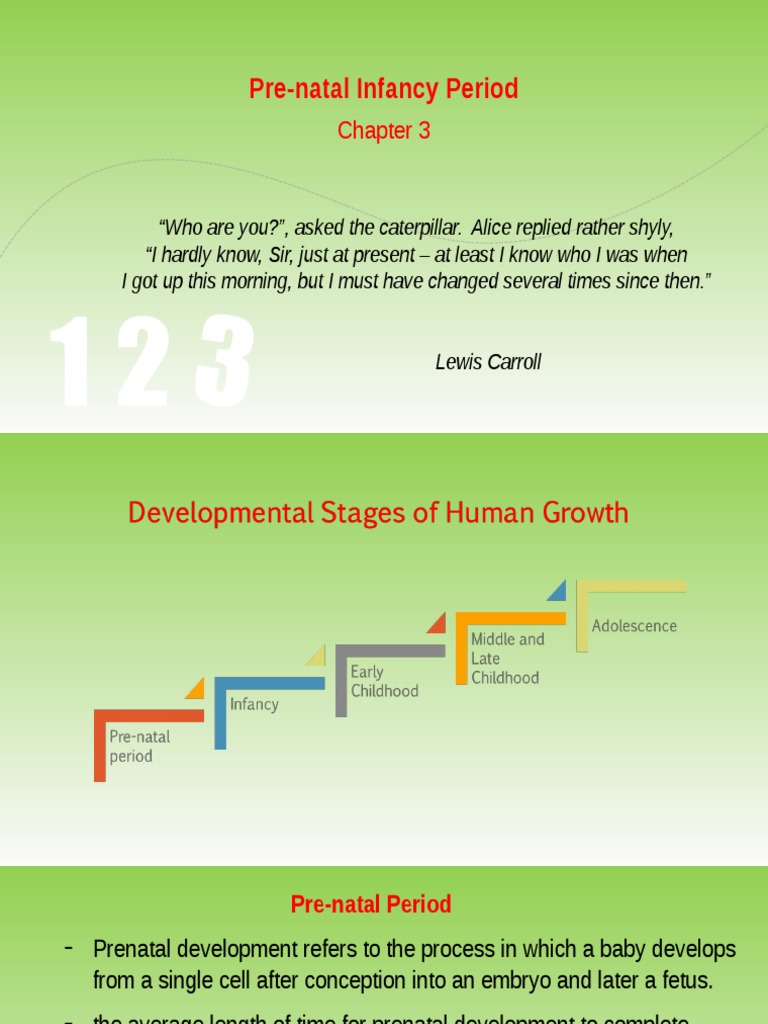 Chapter 3 - Pre-natal and Infancy Period | Prenatal Development ...