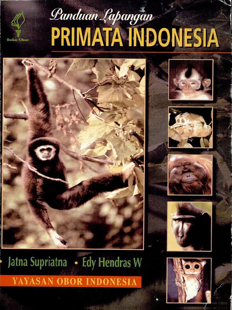 Panduan Lapangan Primata Indonesia | PDF