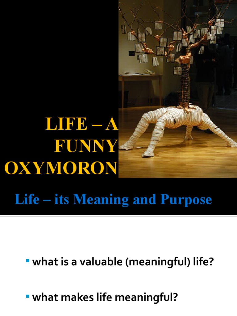 Life - A Funny Oxymoron | Download Free PDF | Stress (Biology) | Human ...