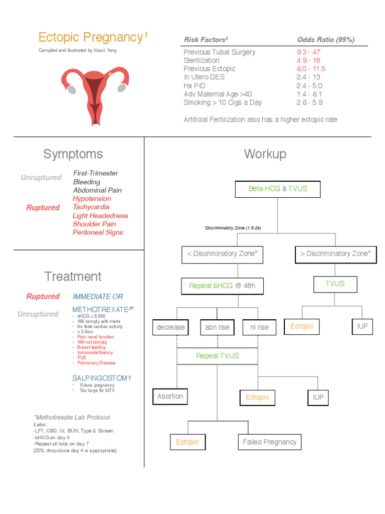 Ectopic Handout | PDF