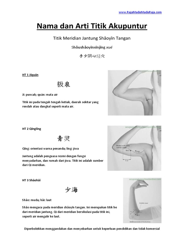 Nama Dan Arti Titik Akupuntur Meridian Jantung | PDF