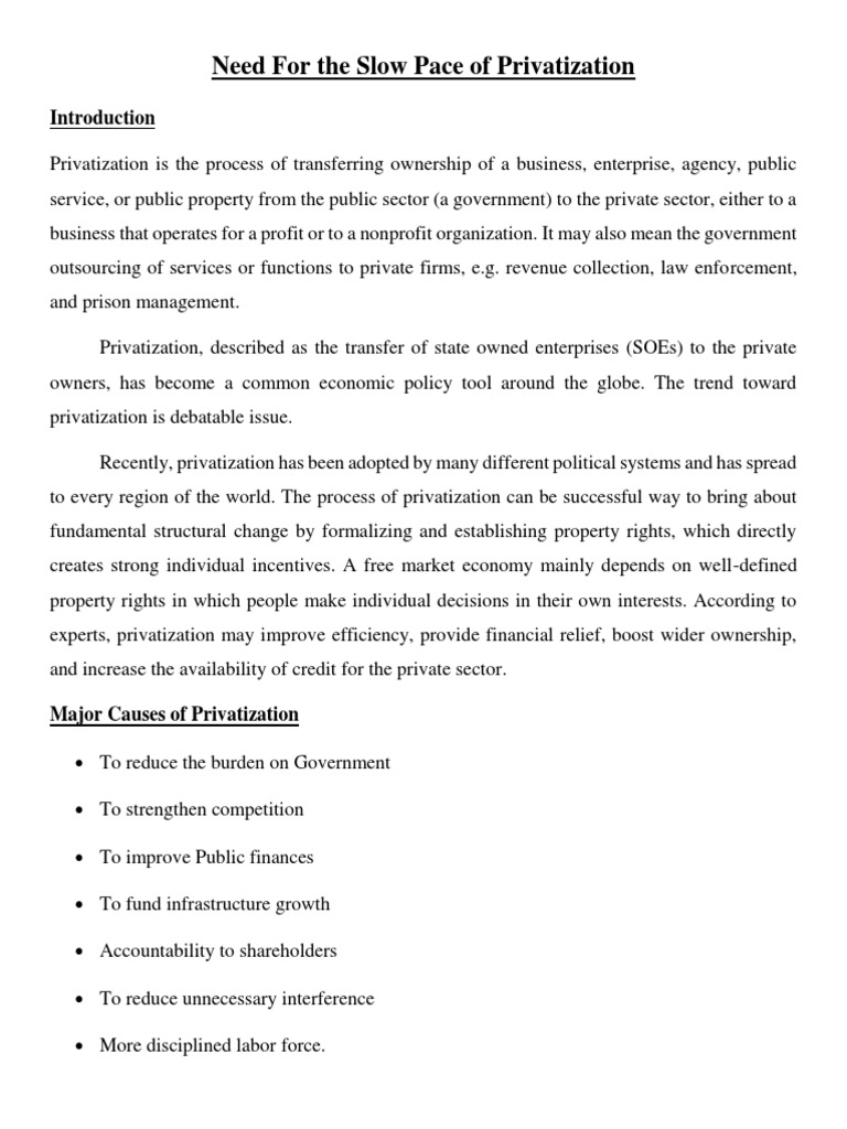 Need For The Slow Pace of Privatization | PDF | Privatization | Market ...