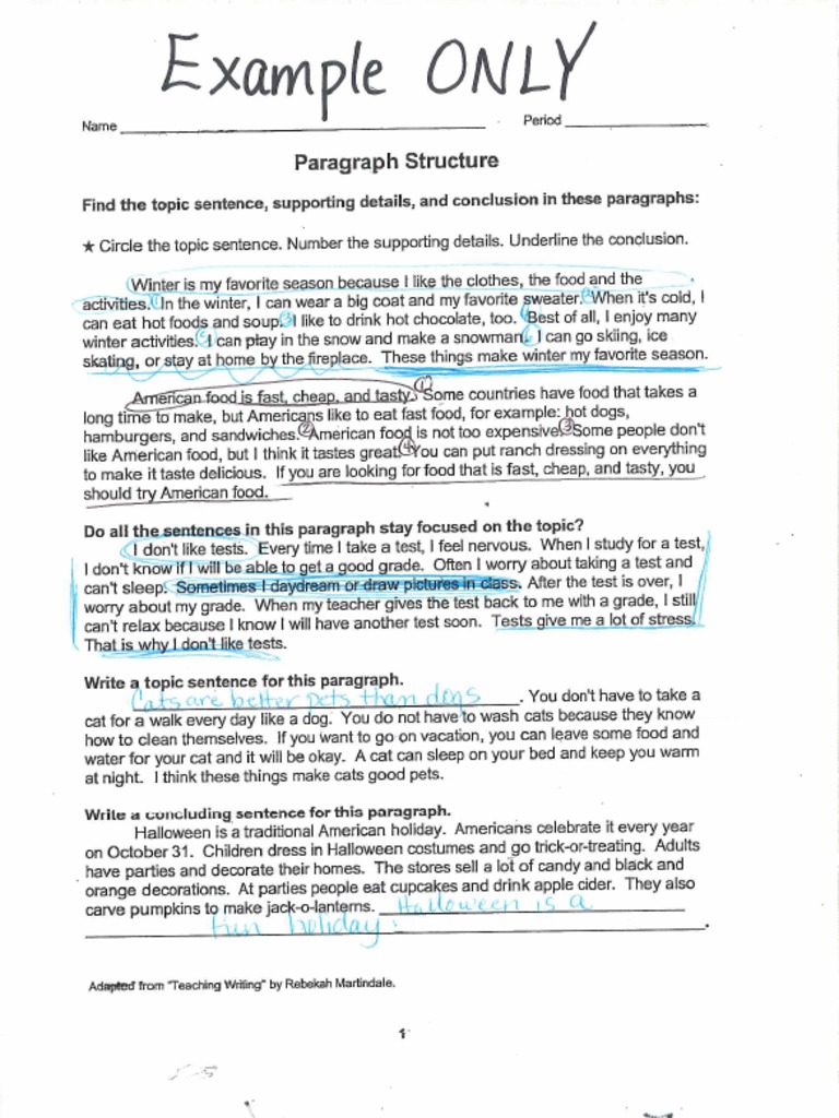 Paragraph Structure Practice Exercises 1 | PDF