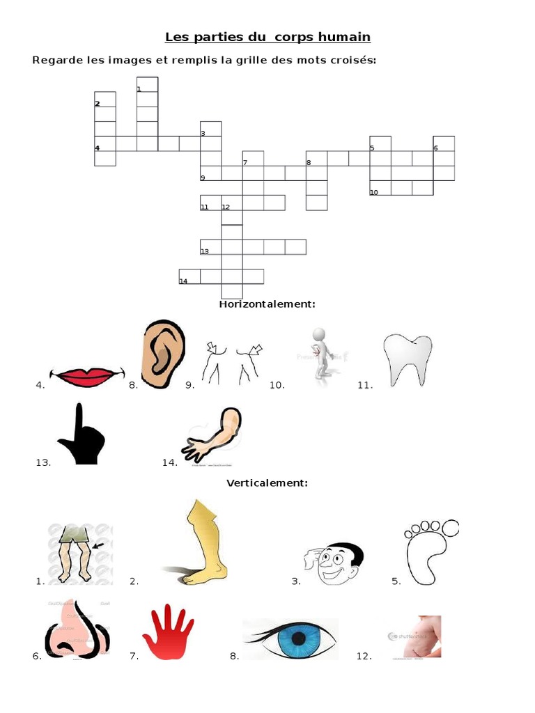 Parties Du Corps Mots Croises | PDF | Arts du langage et discipline ...