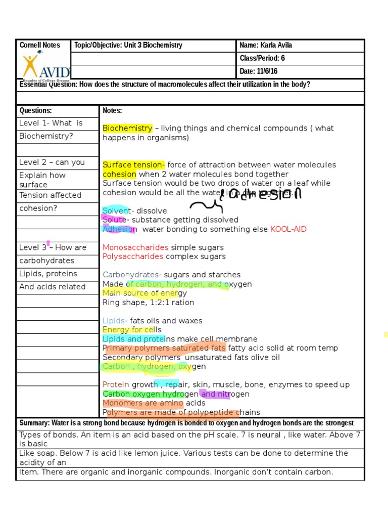Cornell Notes Unit 3 | PDF | Biochemistry | Chemistry
