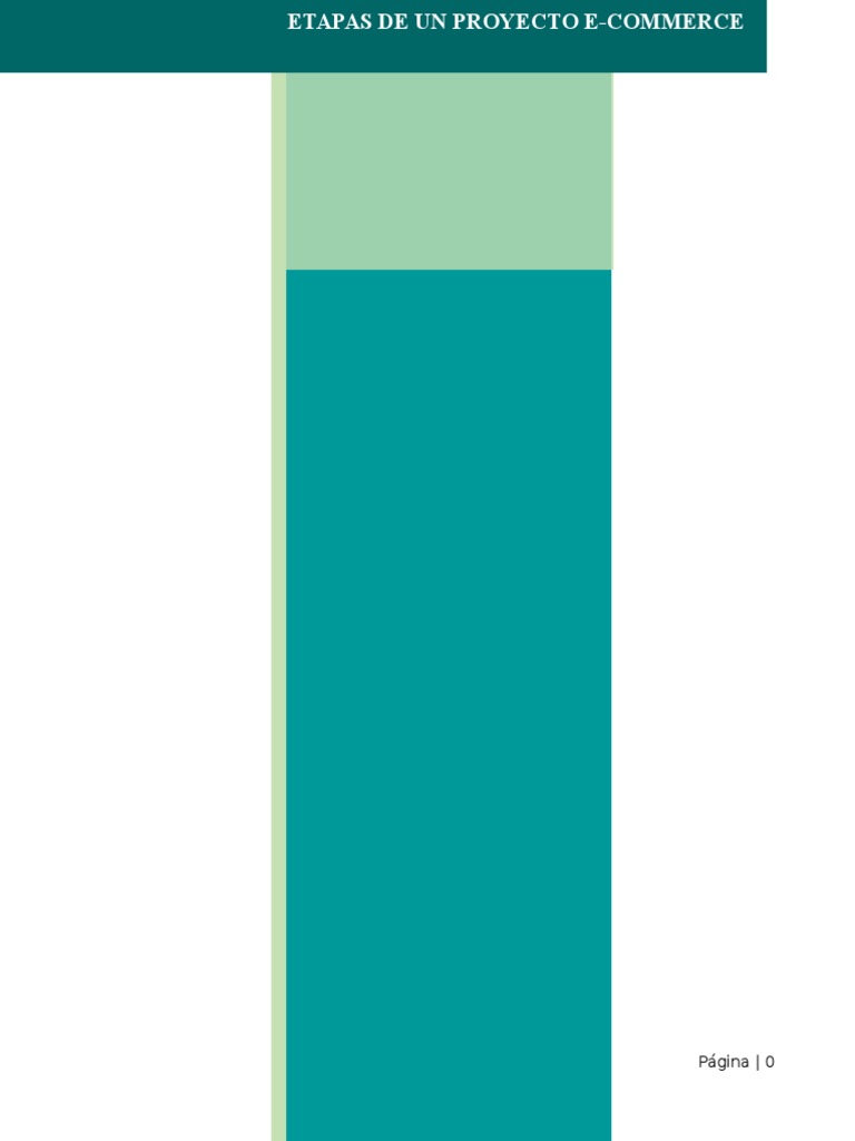 Etapas de Un Proyecto de E-Commerce | PDF | Adobe Systems | Informática