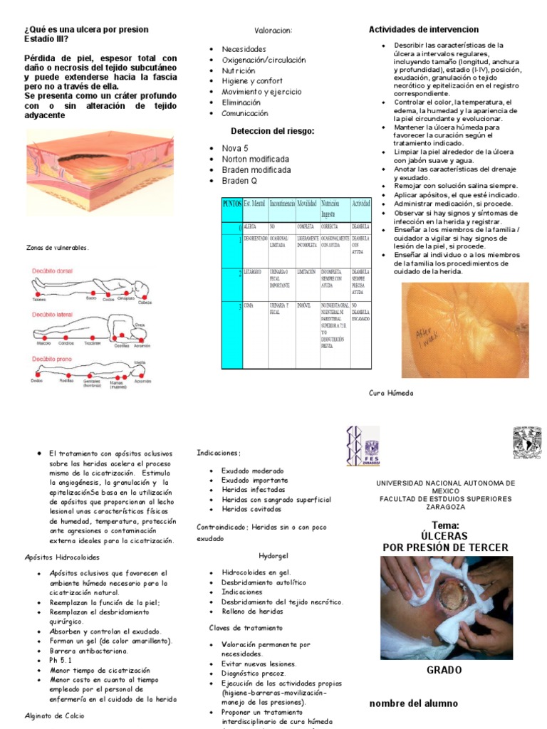 Úlceras por Presión Grado III: Tratamiento y Cuidados | PDF | Herida ...