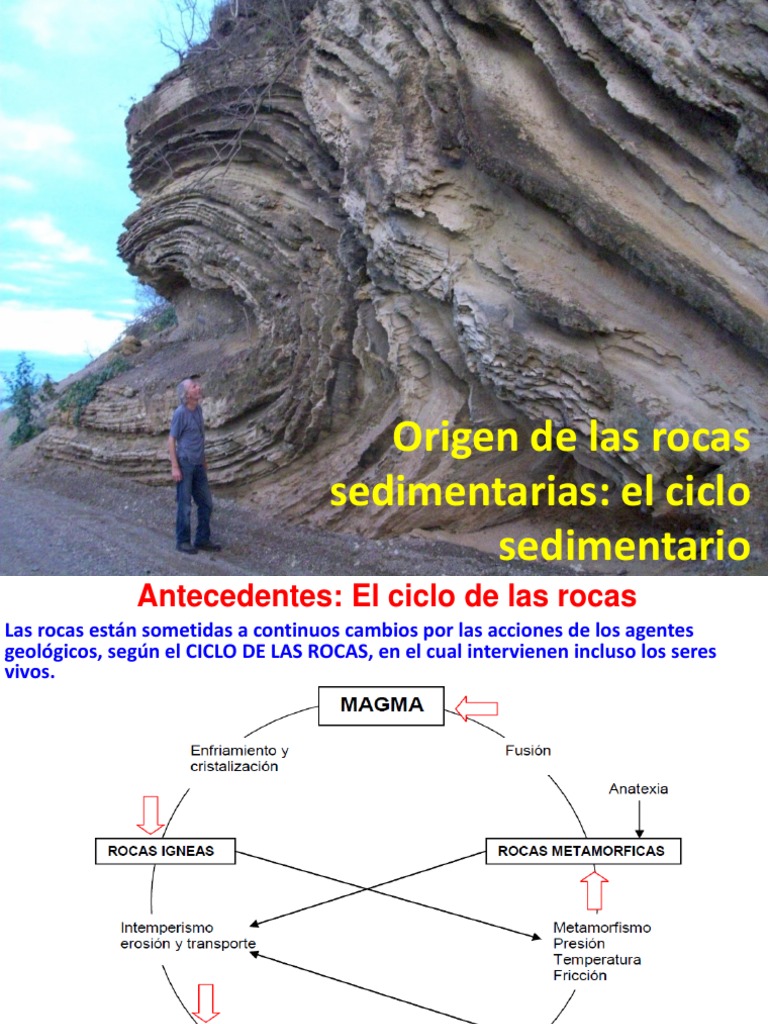 Origen de Las Rocas Sedimentarias PDF | PDF | Roca (geología) | Roca ...