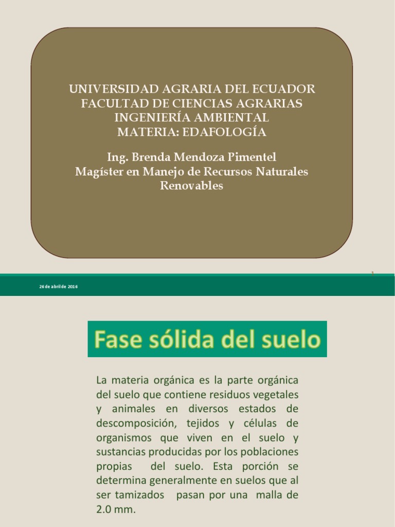 Edafolog-FASE SOLIDA en El Suelo | PDF | Descomposición | Suelo