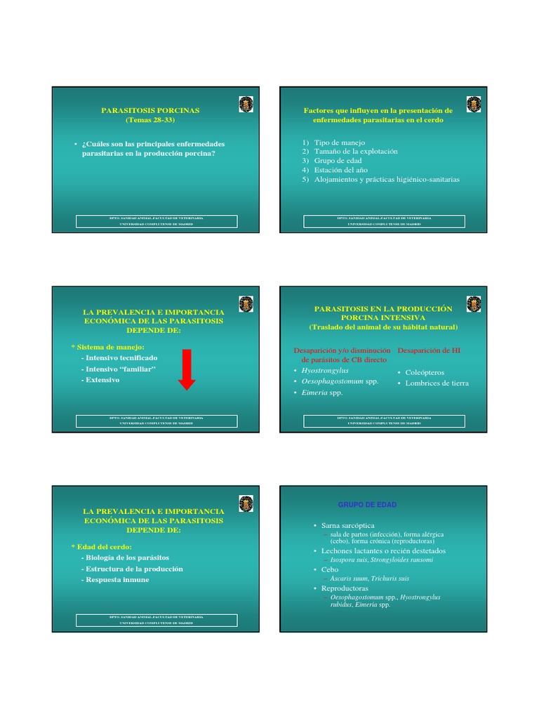 Parasitosis Porcinas Alumnos | PDF | Diarrea | Especialidades Medicas