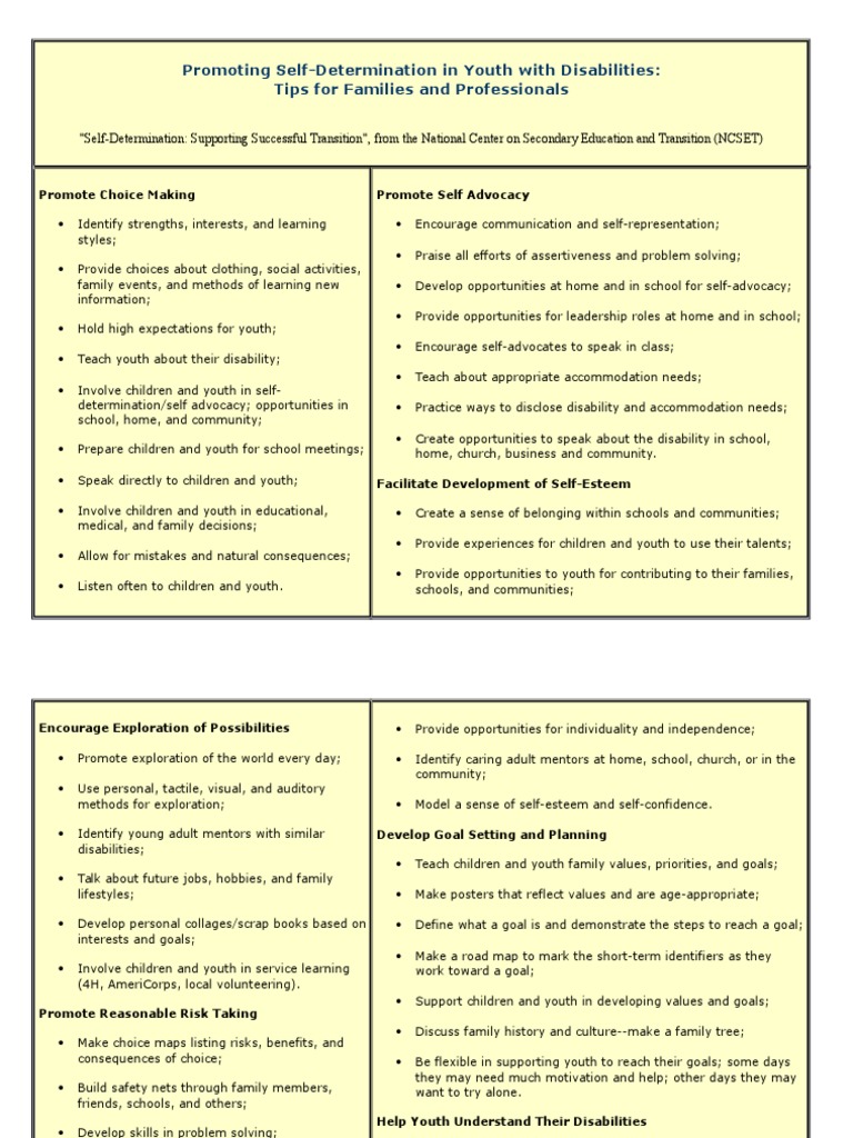 Promoting Self Determination | PDF | Disability | Self Esteem