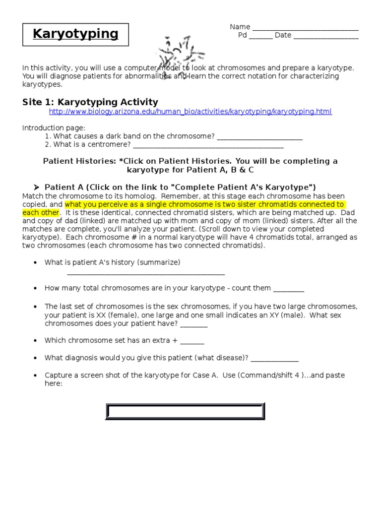 Site 1: Karyotyping Activity | PDF | Karyotype | Chromosome