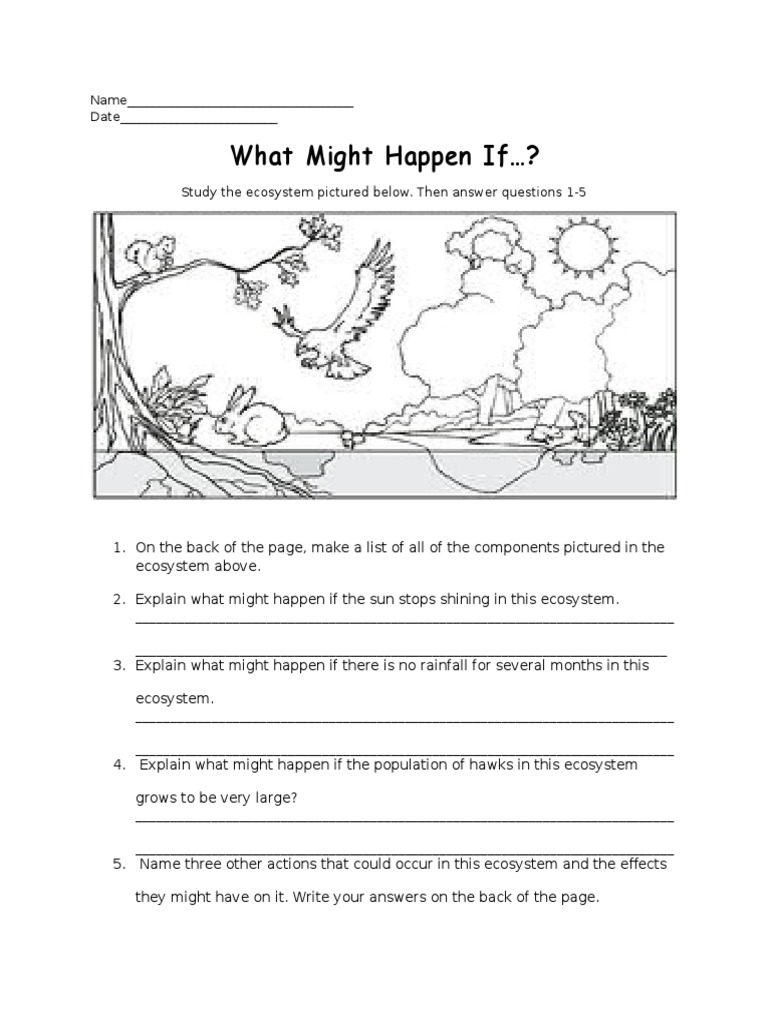 Ecosystem Worksheet | PDF