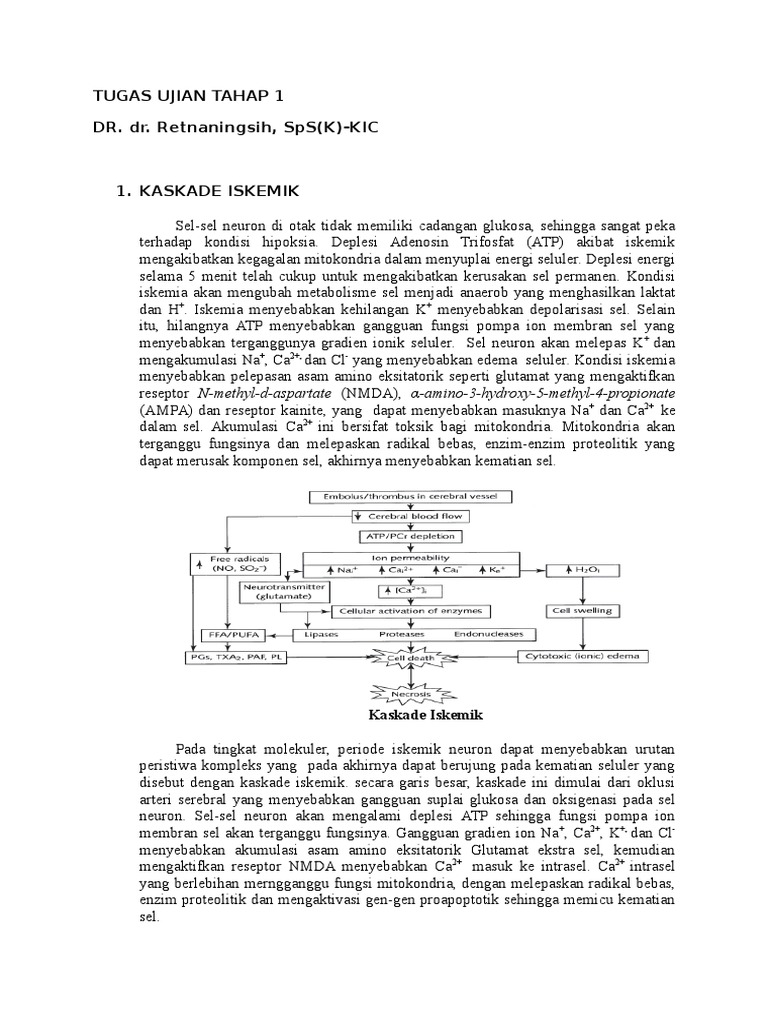 Kaskade Iskemik Dan Neuroprotektan | PDF
