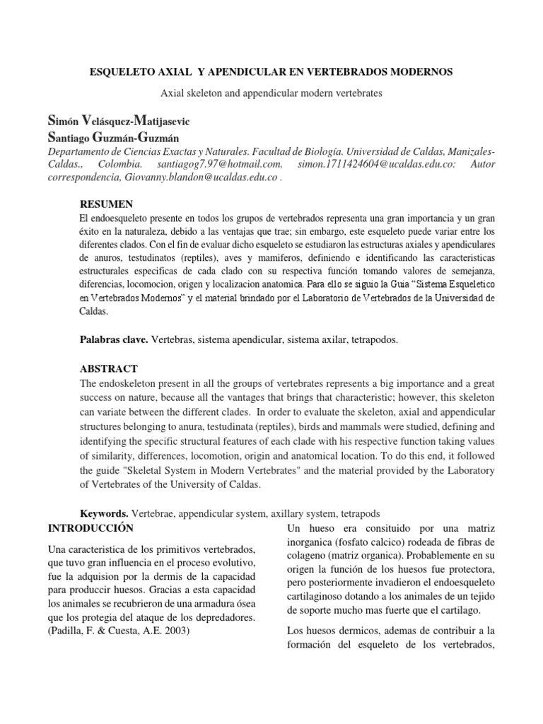 Esqueleto Axial y Apendicular en Vertebrados | PDF | Vértebra | La ...