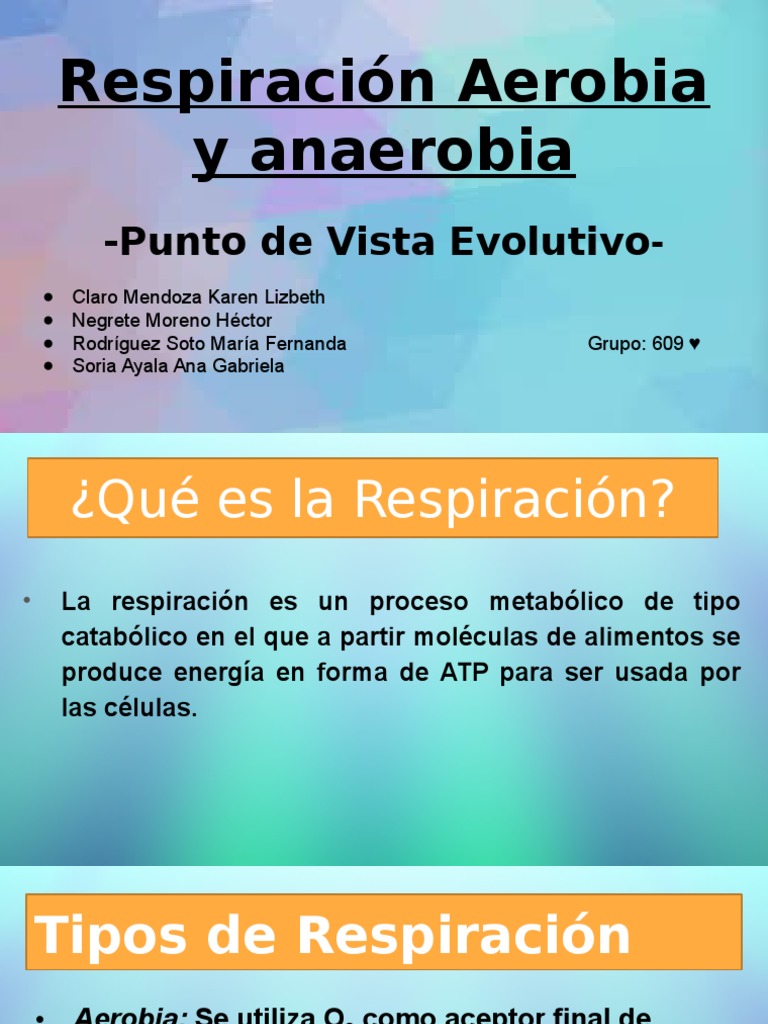Respiración Aerobia y Anaerobia | PDF | Respiración celular | Cadena de ...