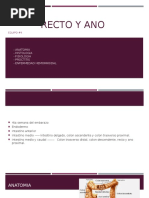 Anatomia Exposicion Recto y Ano | PDF | Recto | Pelvis