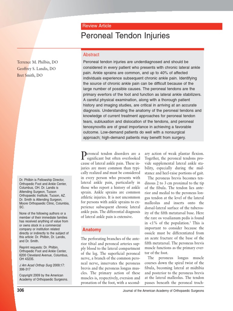 Peroneal Tendon Injuries | PDF | Foot | Lower Limb Anatomy