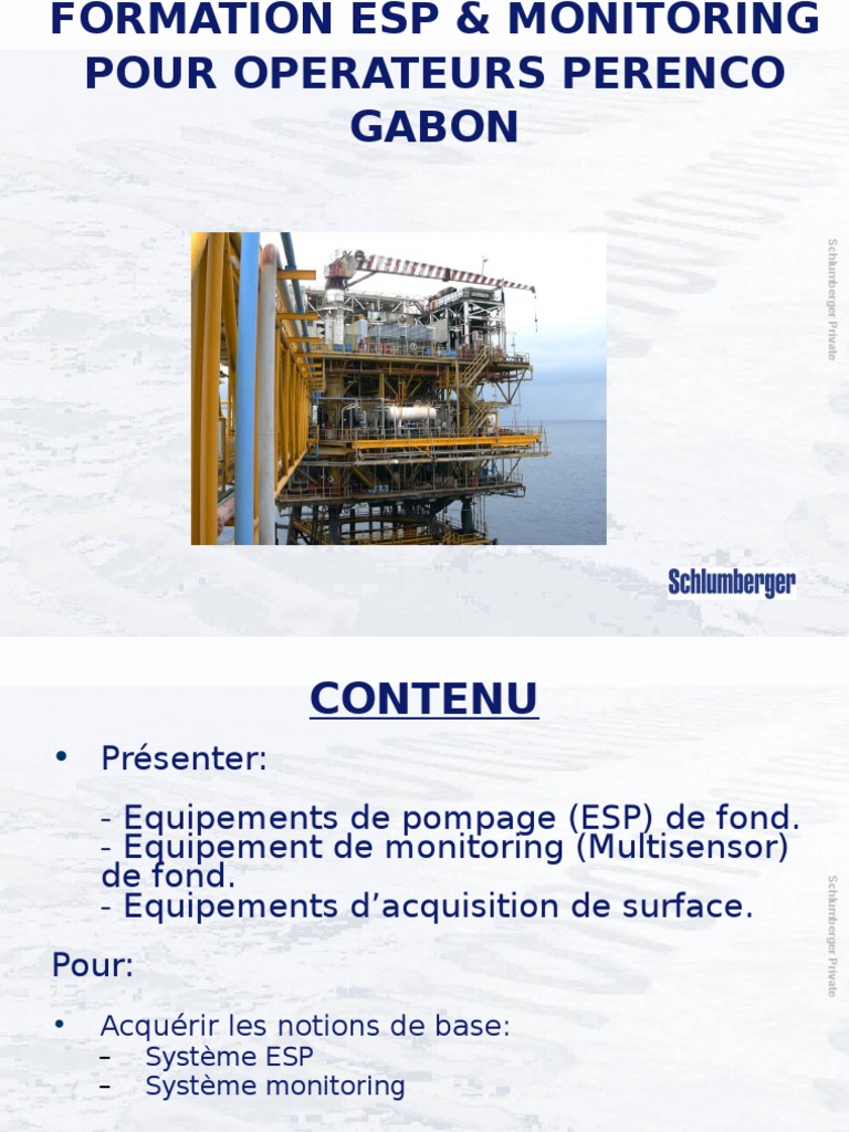 2 - System ESP | PDF | Pompe | Machine