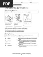 Worksheet Part 2 Plasma Membrane | PDF | Cell Membrane | Biotechnology
