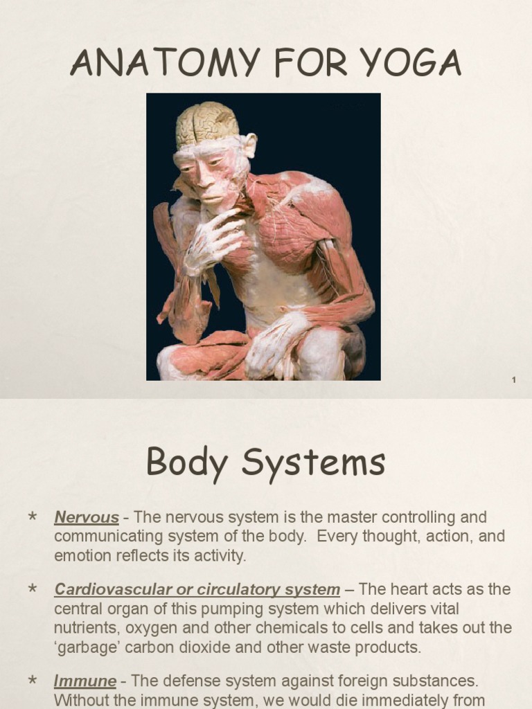 Anatomy of Yoga Asanas | PDF | Anatomical Terms Of Motion | Shoulder