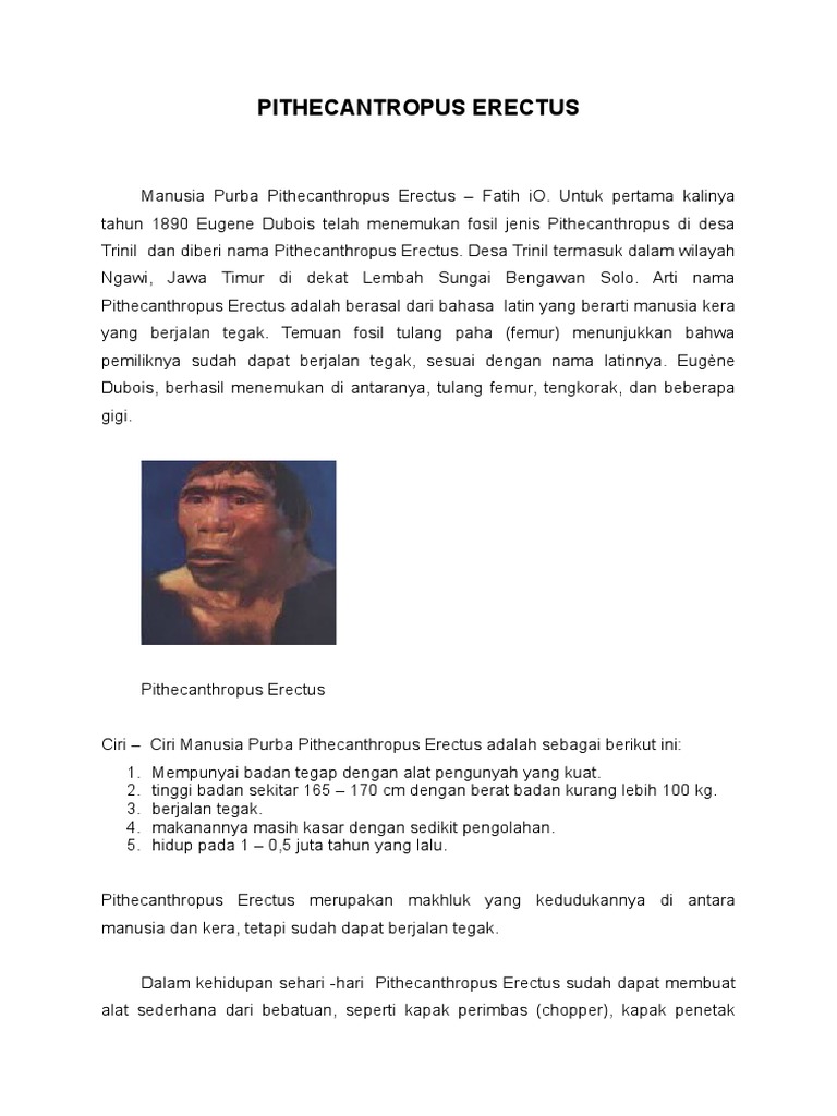 Temuan Pithecanthropus Erectus di Trinil | PDF
