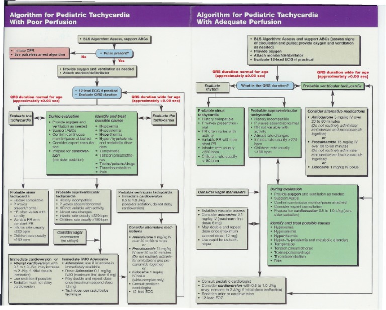 Pediatric Tachycardia Algorithms | Cardiovascular Physiology | Medical ...