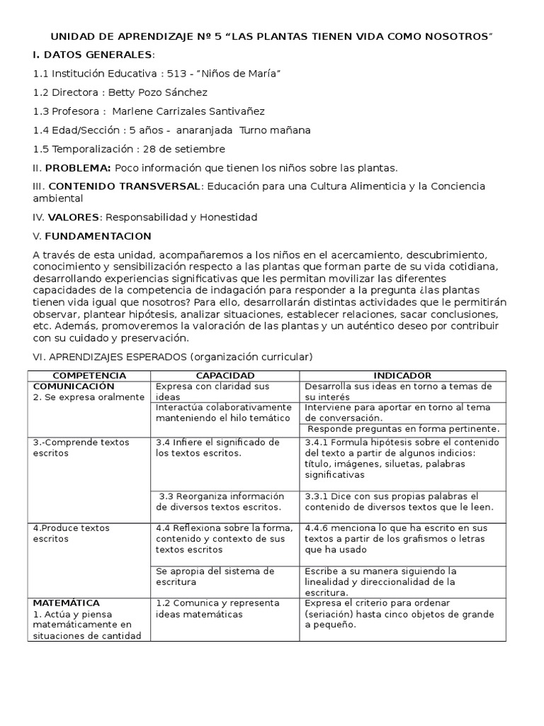 Aprendiendo sobre Plantas en Niños | PDF | Science | Información
