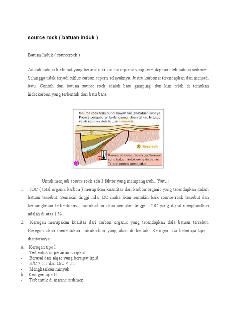 Source Rock | PDF | Minyak Bumi | Batuan (Geologi)