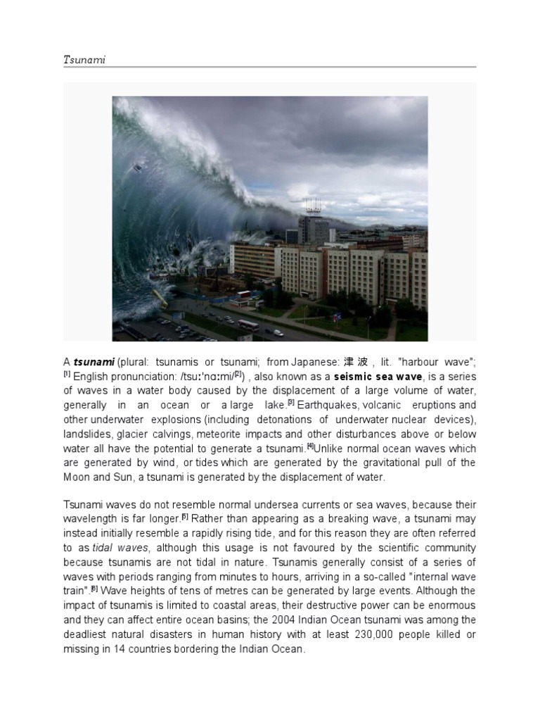 Tsunami: Tidal Waves | PDF