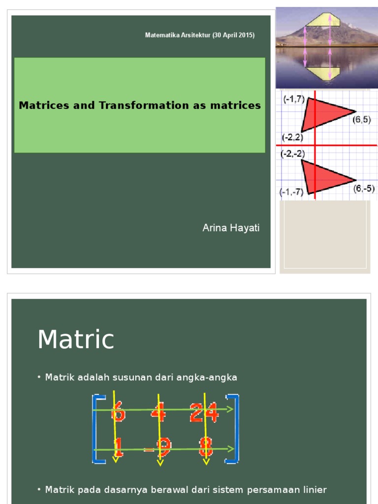 Matrix Theory | PDF